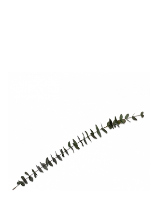 Silkka Dekoratif Okaliptüs Yaprağı Pembe