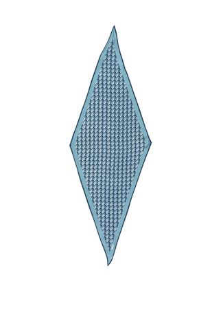 Pal Zileri Kadın Mavi Desenli İpek Fular Gri EU