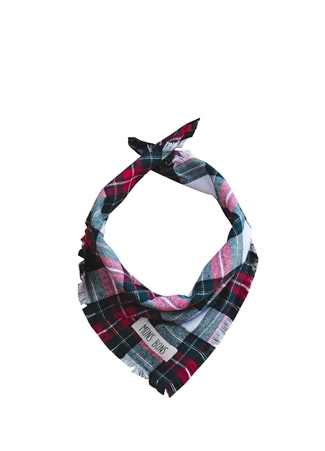 Mons Bons Pablo Yeşil Evcil Hayvan Bandanası S EU Mons Bons Pablo Yeşil Evcil Hayvan Bandanası S EU