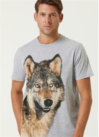 Etro Erkek Gri Kurt Baskılı T-shirt L EU Etro Erkek Gri Kurt Baskılı T-shirt L EU