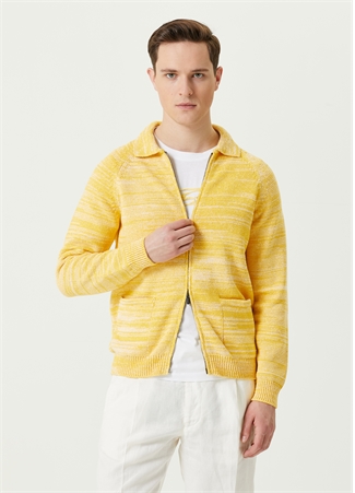 Lardini Erkek Sarı Polo Yaka Desenli Hırka 52 IT