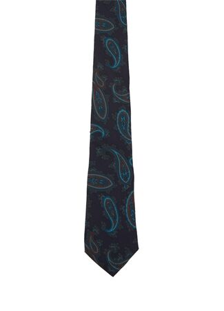 Pal Zileri Erkek Lacivert Desenli İpek Kravat EU
