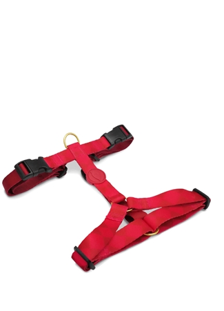 Morso Diamonds M Bordo Kırmızı H Tipi Göğüs Tasması