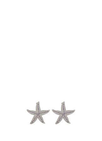 Aden Newyork Kadın Stella Silver Yıldız Formlu Küpe Gri M EU Aden Newyork Kadın Stella Silver Yıldız Formlu Küpe Gri M EU