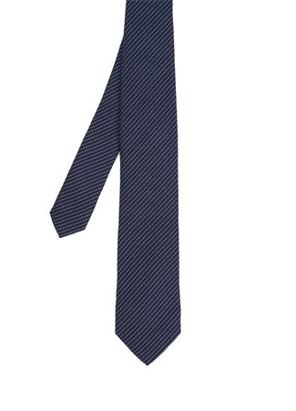 Palzileri Lab Erkek Lacivert Desenli İpek Kravat EU