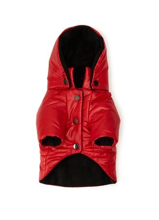 Angel İstanbul Kırmızı Dolgulu Kaban XS/S EU Angel İstanbul Kırmızı Dolgulu Kaban XS/S EU