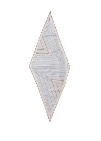 Pal Zileri Erkek Atki Lacivert Eu Pal Zileri Erkek Atki Lacivert Eu