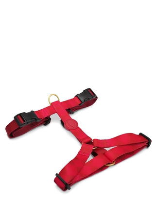 Morso Diamonds XL Bordo Kırmızı H Tipi Göğüs Tasması