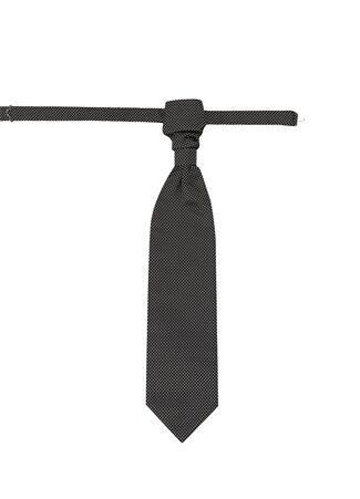 Palzileri Lab Erkek Siyah Desenli Kravat EU