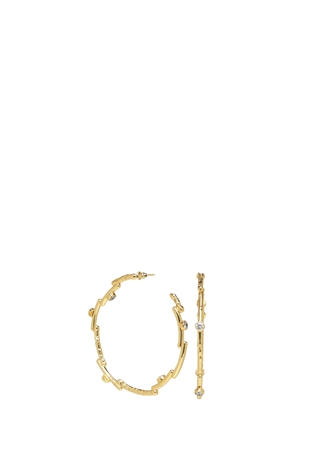 Alican Icoz Kadın Perra Halka Formlu Altın Rengi Kaplama Küpe EU Alican Icoz Kadın Perra Halka Formlu Altın Rengi Kaplama Küpe EU