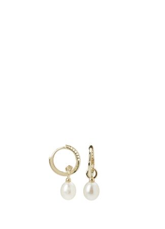 Collection Kadın Oval Formlu İncili Altın Rengi Küpe EU