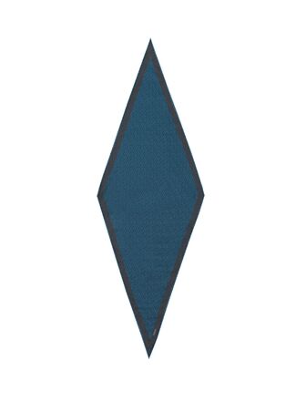 Pal Zileri Erkek Mavi Mikro Desenli İpek Atkı EU