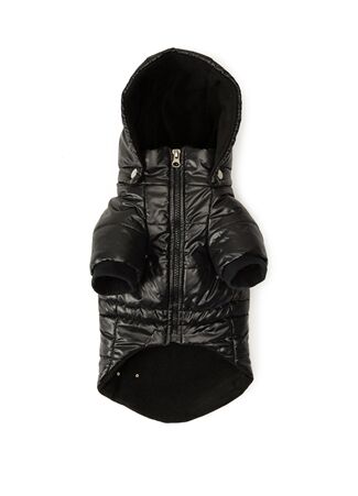 Angel İstanbul Siyah Dolgulu Kaban XS/S EU Angel İstanbul Siyah Dolgulu Kaban XS/S EU