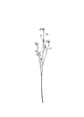 Silkka Beery Spray Mavi Çiçek Yeşil Silkka Beery Spray Mavi Çiçek Yeşil