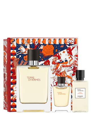 Hermès Erkek Terre d’Hermès Eau de Toilette