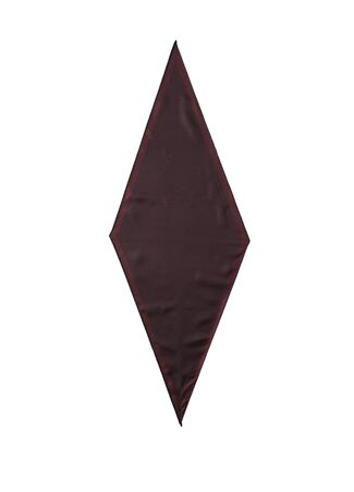 Pal Zileri Erkek Bordo Geometrik Formlu İpek Atkı EU