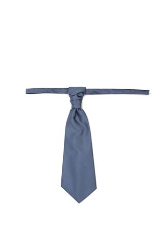 Palzileri Lab Erkek Mavi Mikro Desenli Kravat EU