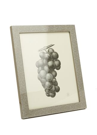 Pigeon & Poodle Bej Beyaz Mikro Desenli Çerçeve Kahverengi