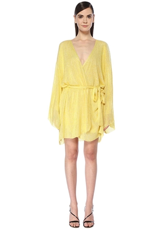 Maria Lucia Hohan Kadın Annelise Sarı İşlemeli Mini Kokteyl Elbise 34 FR