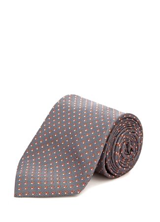 Pal Zileri Erkek Gri Mikro Desenli İpek Kravat EU