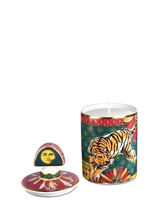 Baci Milano Tabiatın Gücü Desenli Porselen Mum Çok Renkli