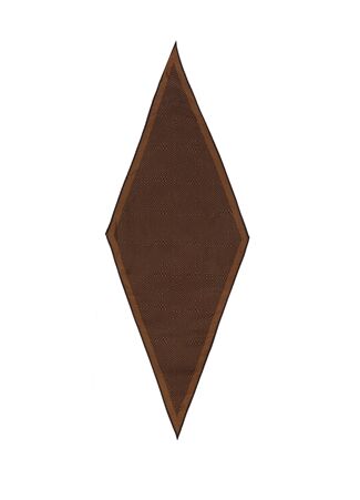 Pal Zileri Erkek Kahverengi Mikro Desenli İpek Atkı EU