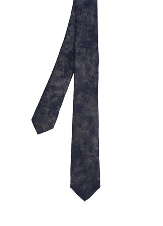 Palzileri Lab Erkek Lacivert Desenli İpek Kravat EU