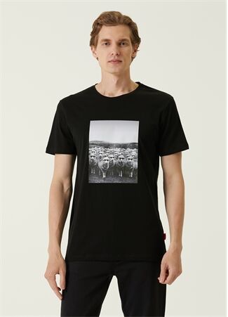 John Frank Erkek Cool Siyah Koyun Baskılı T-shirt S EU