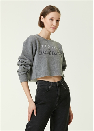 Allsaints Kadın Nevarre Gri Metalik Logolu Crop Sweatshirt S EU Allsaints Kadın Nevarre Gri Metalik Logolu Crop Sweatshirt S EU