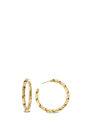 Lisalina Kadın Ribbon Altın Rengi Kaplama Küpe EU