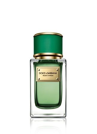 Dolce&Gabbana Kadın Velvet Cypress Edp 50Ml Dolce&Gabbana Kadın Velvet Cypress Edp 50Ml