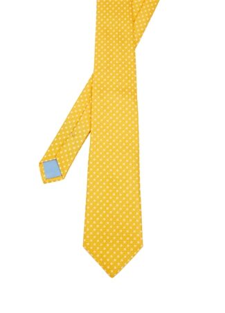 Tino Cosma Erkek Sarı Puantiye Desenli İpek Kravat EU