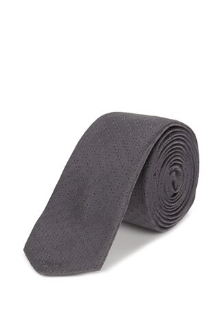 Palzileri Lab Erkek Antrasit Mikro Dokulu İpek Kravat Gri EU