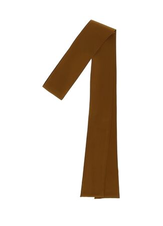 Pal Zileri Erkek Hardal İpek Atkı Sarı EU