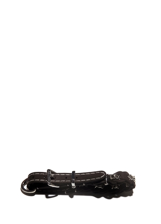 Havhow Kahverengi Tasma EU