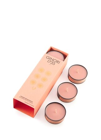 Richard Ginori MUM Turuncu