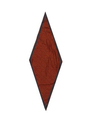 Pal Zileri Erkek Turuncu Geometrik Desenli İpek Atkı EU