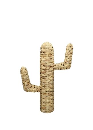 Room Diaries Deniz Çayırı Kaktüs Obje Bej
