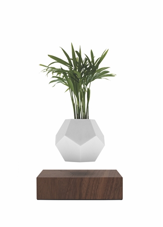 Flyte Levitasyon Teknolojili Saksı Çok Renkli Flyte Levitasyon Teknolojili Saksı Çok Renkli