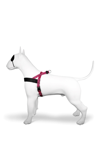 Morso Bubble Leopar Desenli S-M Norveç Tipi Tasma S/M Morso Bubble Leopar Desenli S-M Norveç Tipi Tasma S/M
