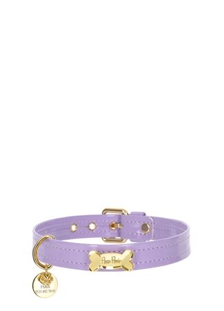 Paw Paris Mor Tasma M