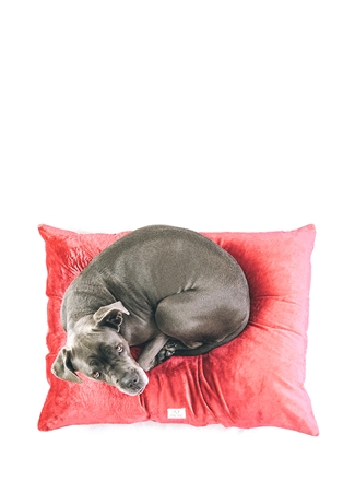 Mons Bons Velvet Bordo Köpek Minderi M EU Mons Bons Velvet Bordo Köpek Minderi M EU